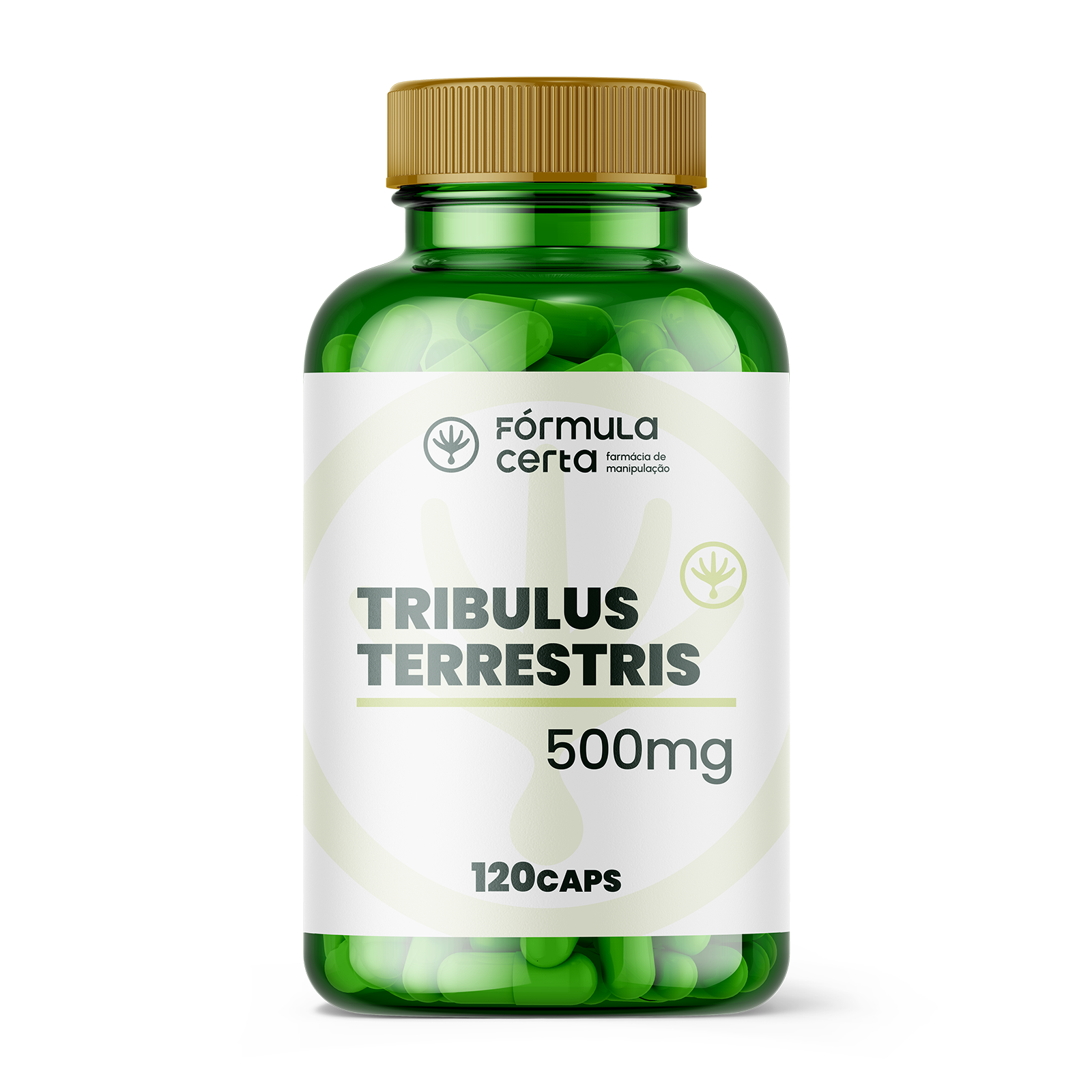 TRIBULUS TERRESTRIS 500 mg – Força, Vitalidade e Libido em Alta ...